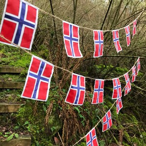 Norwegian Flag Garland - Etsy