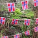 Norwegian Flag Garland - Etsy