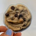 Chocolate Chip Cookie Sticker - Etsy