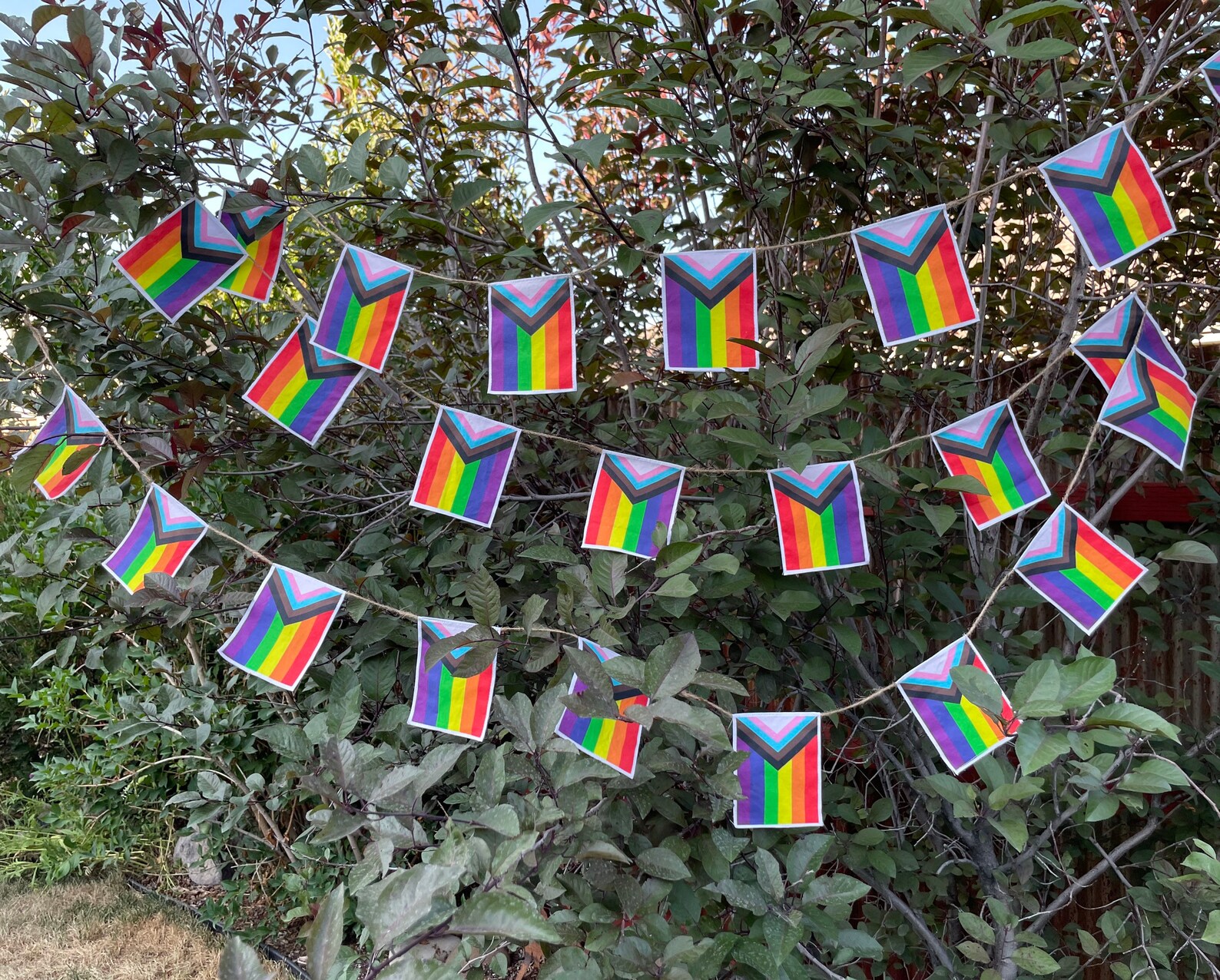 Progress Pride Flag Garland- Small Flags - Etsy