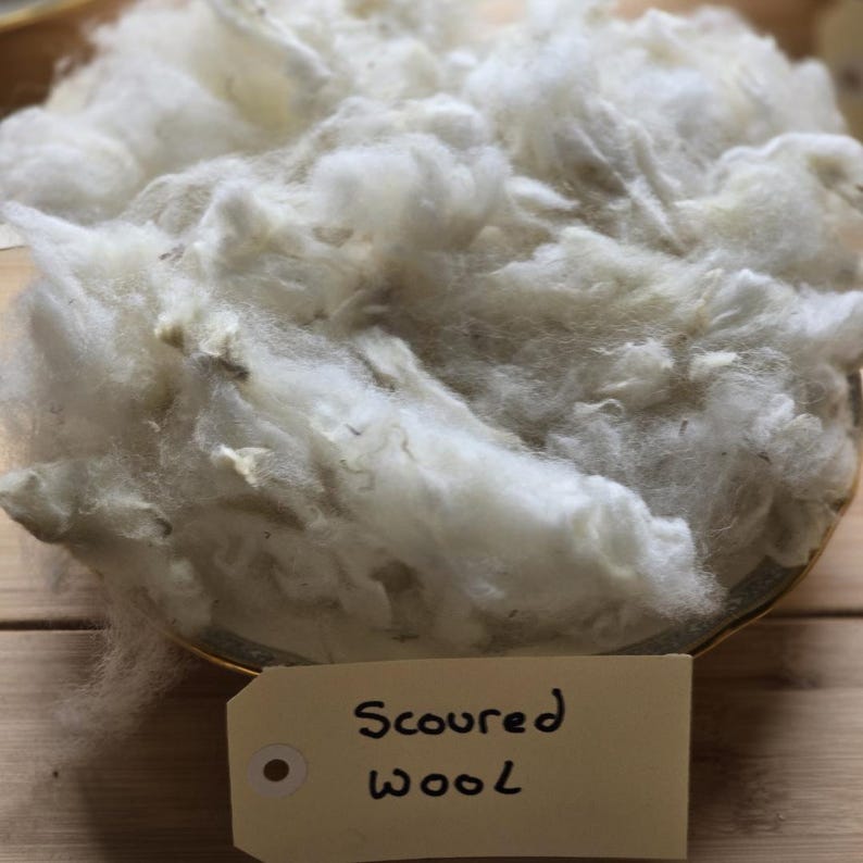 Organic Scoured Australian Wool - Etsy Australia