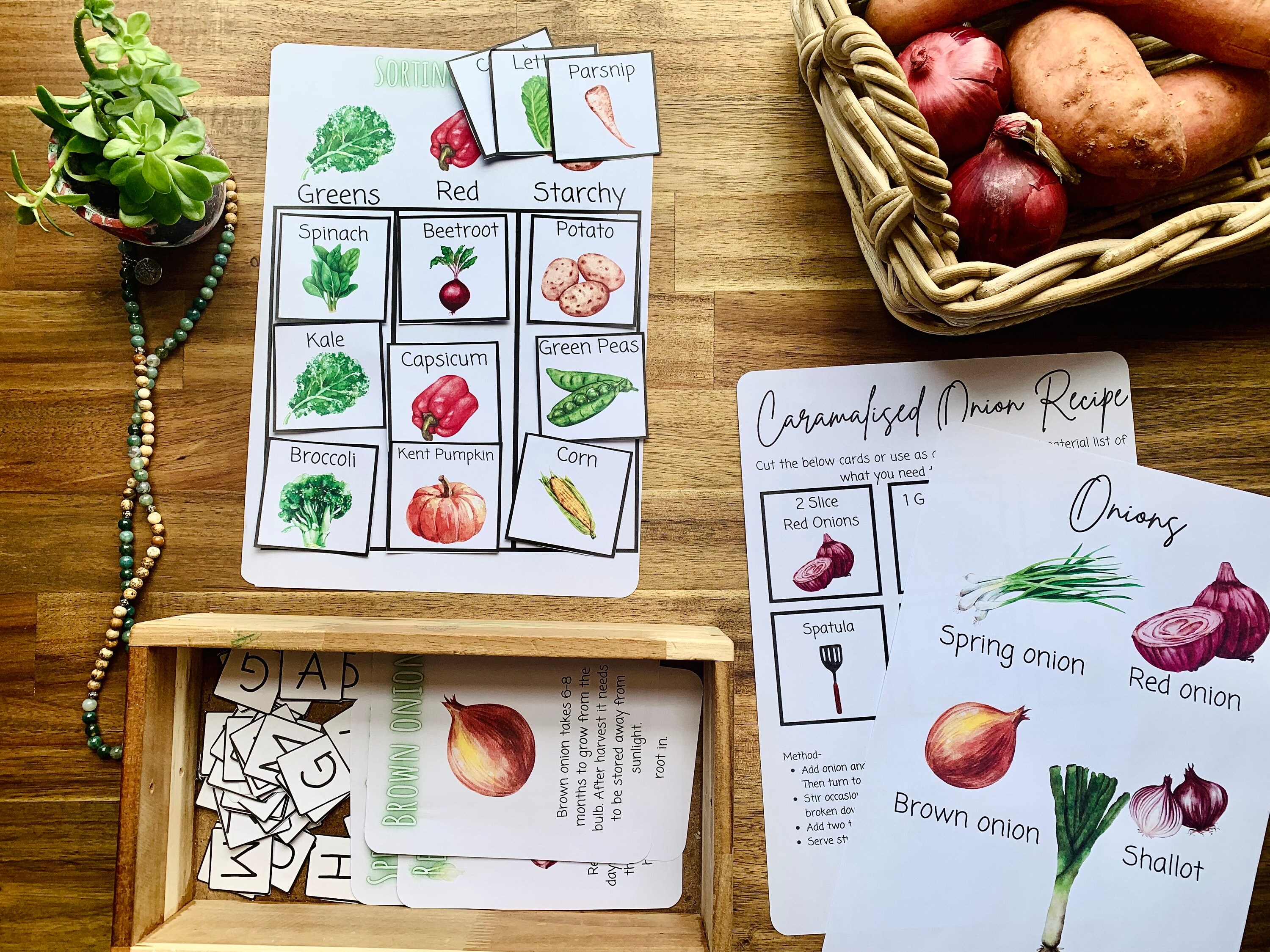 Vegetable Unit Study Homeschool / Educational Resource - Etsy