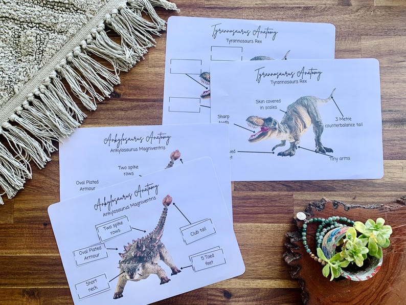 Dinosaur Anatomy Activities, Anatomy's of Dinosaurs, Homeschool ...