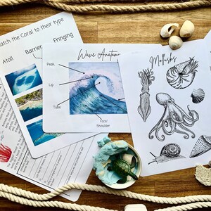 Ocean Unit Study Homeschool, Educational Resource, Morning Basket ...