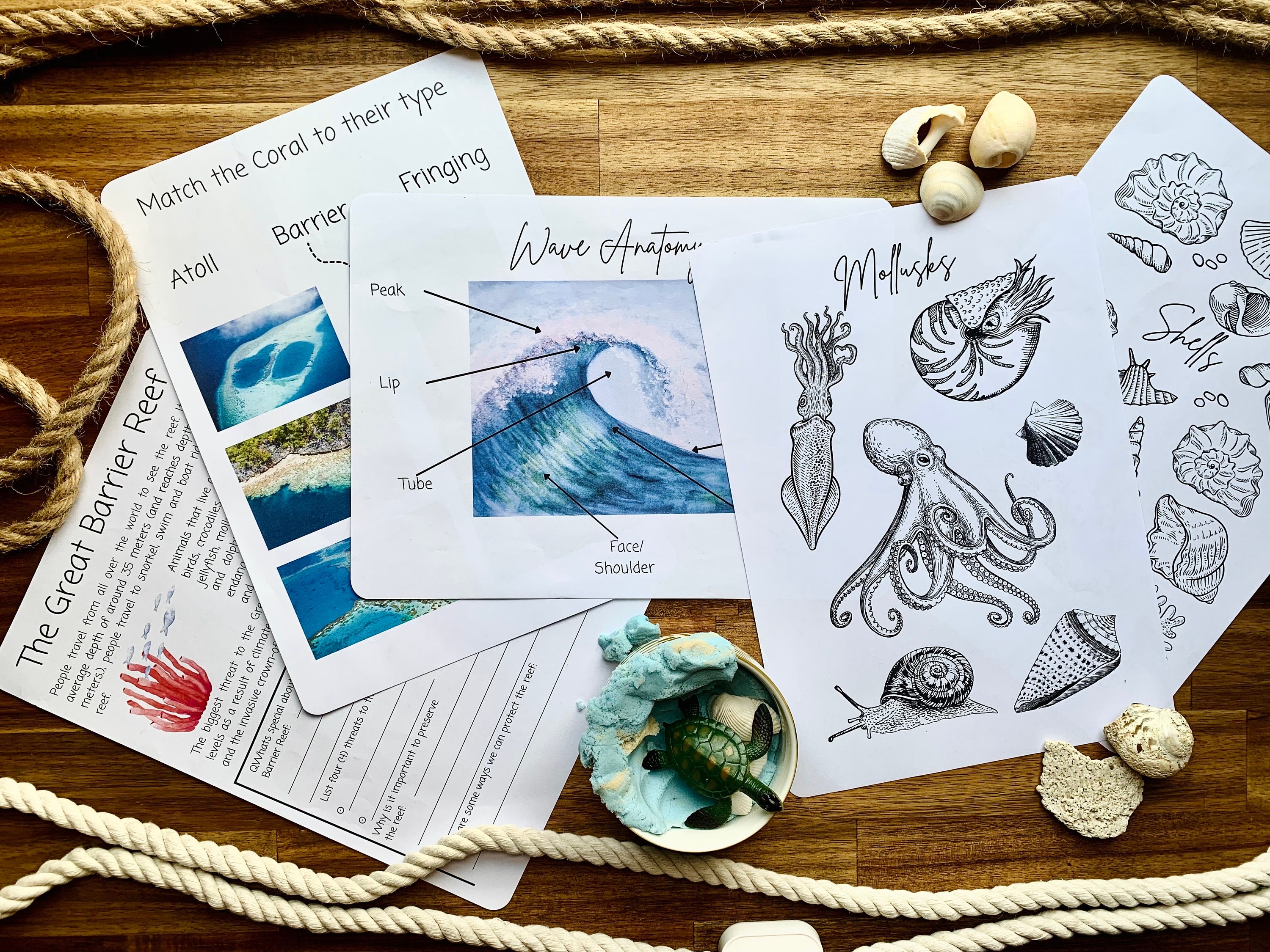 Ocean Unit Study Homeschool, Educational Resource, Morning Basket ...