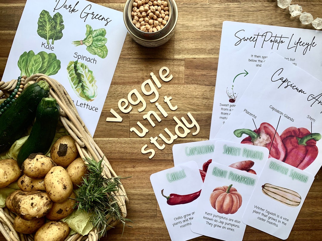Vegetable Unit Study Homeschool / Educational Resource - Etsy