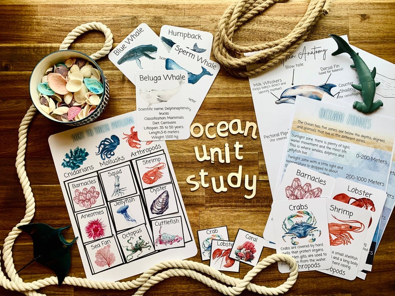 Ocean Unit Study Homeschool, Educational Resource, Morning Basket, Curriculum, Activity Pack ...