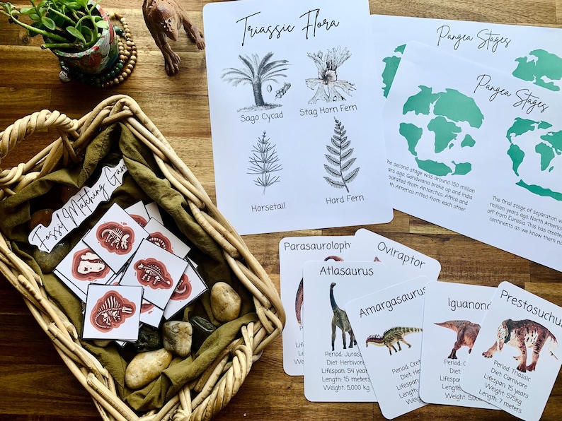 Dinosaur Unit Study Homeschool / Educational Resource - Etsy