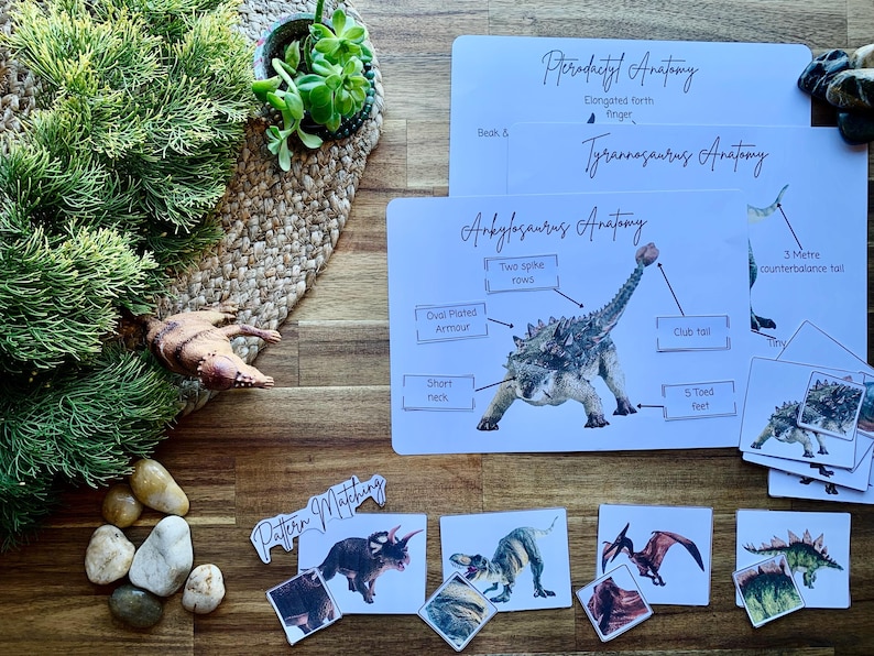 Dinosaur Unit Study Homeschool / Educational Resource - Etsy