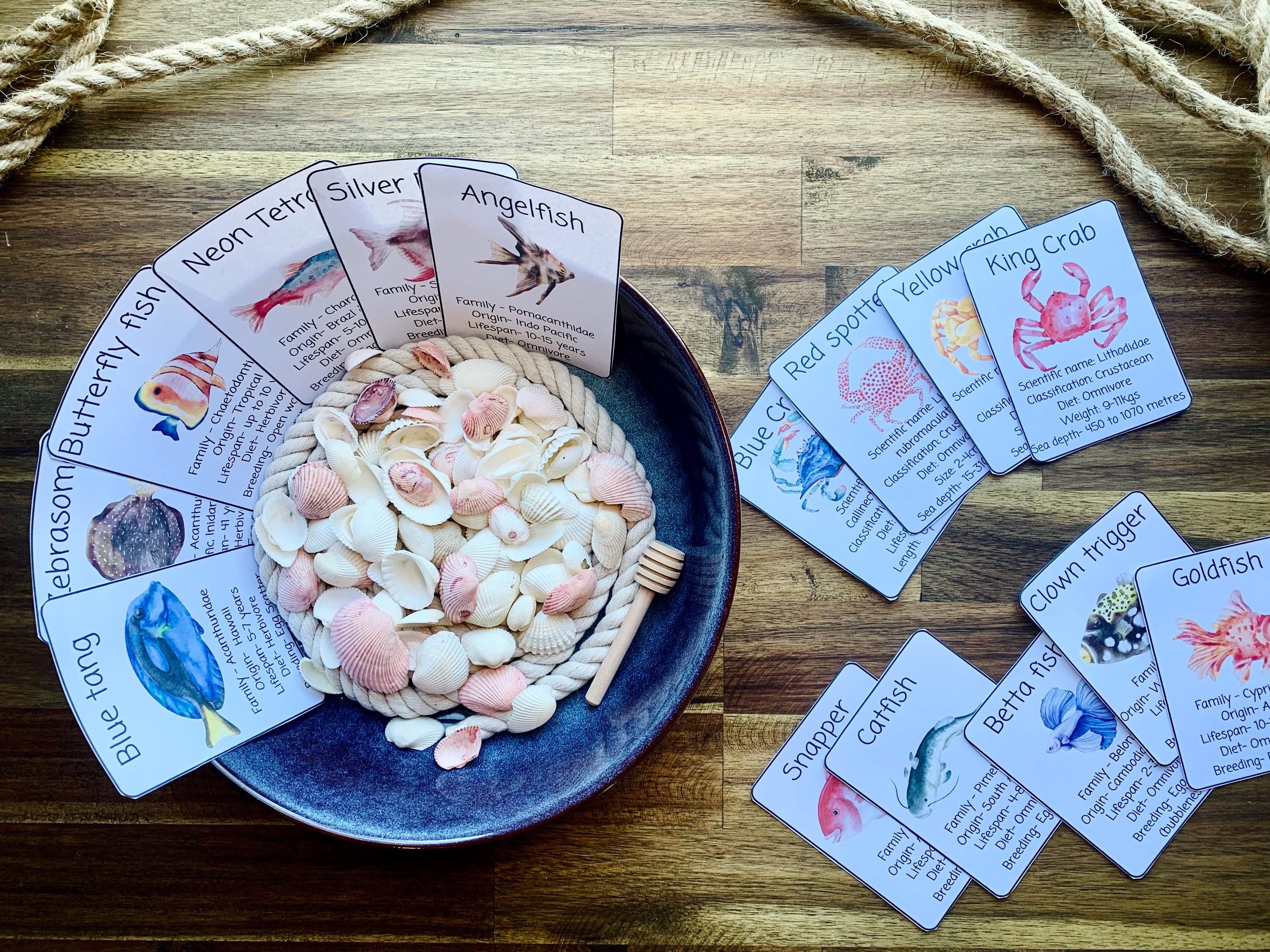 Ocean Animal Flashcards, Ocean Information Cards, Homeschool ...