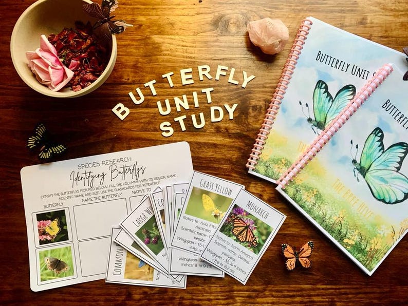 Butterfly, Caterpillar Bug Unit Study Homeschool, Educational Resource ...