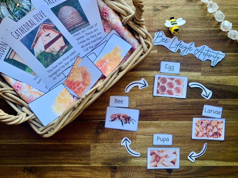 Bee Unit Study, Beekeeping Study Unit, Anatomy, Life Cycle, Nature ...