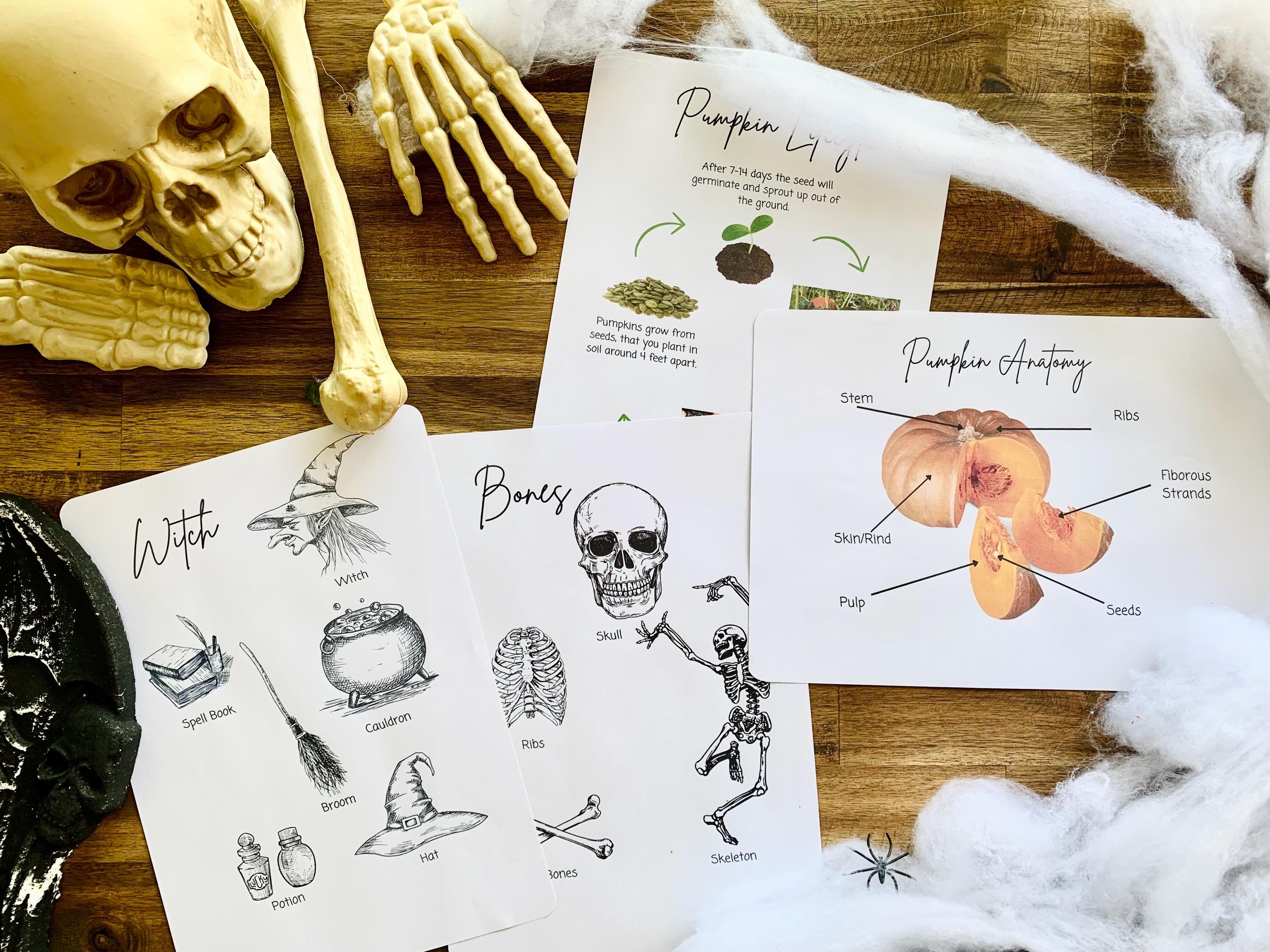 Halloween Mini Unit Study Homeschool, Educational Resource, Morning ...
