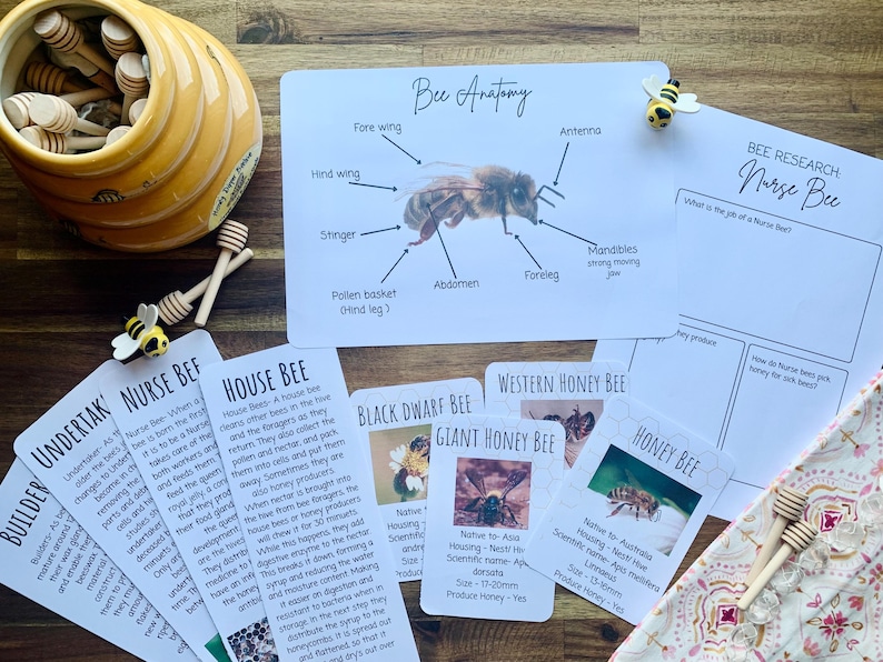 Bee Unit Study, Beekeeping Study Unit, Anatomy, Life Cycle, Nature ...