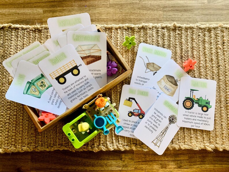 Fruit Unit Study Homeschool, Educational Resource, Morning Basket ...