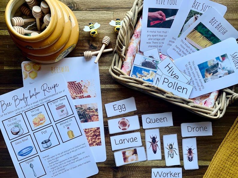 Bee Unit Study, Beekeeping Study Unit, Anatomy, Life Cycle, Nature ...