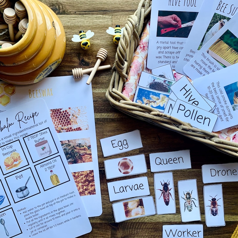 Honey Bee Unit - Etsy