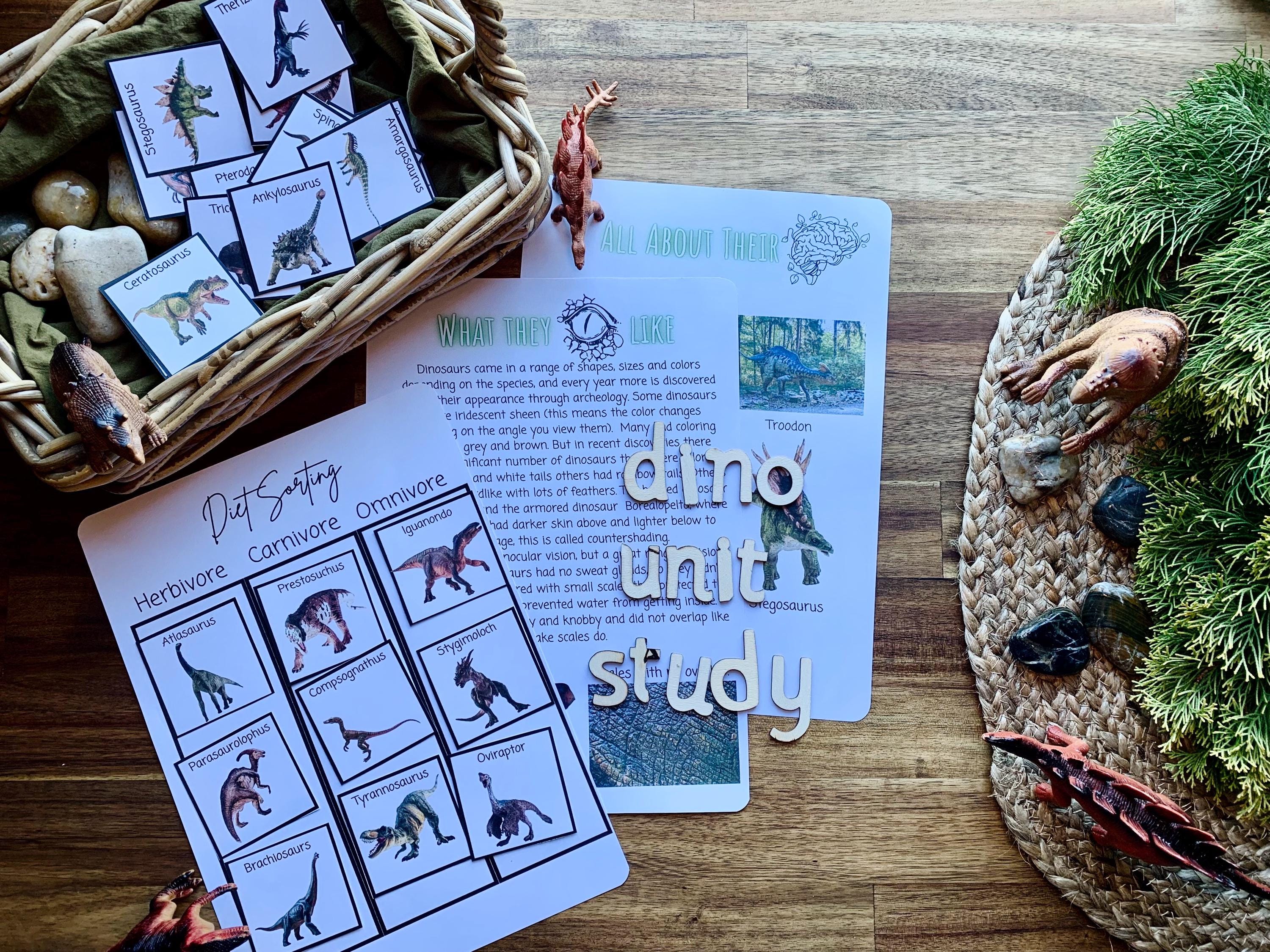 Dinosaur Unit Study Homeschool / Educational Resource - Etsy