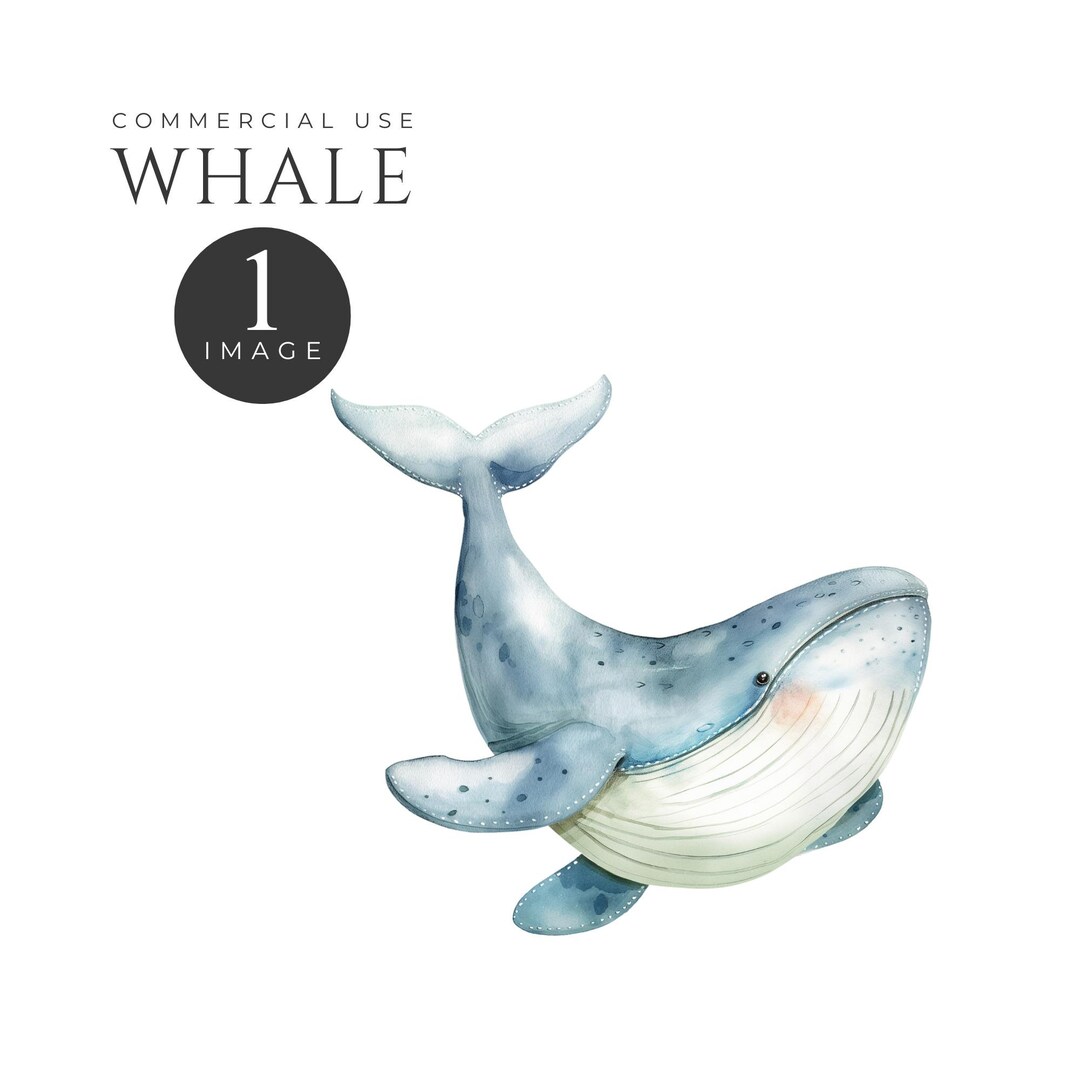Watercolor Whale Single Clipart, Under the Sea, Marine Life, Ocean Sea ...