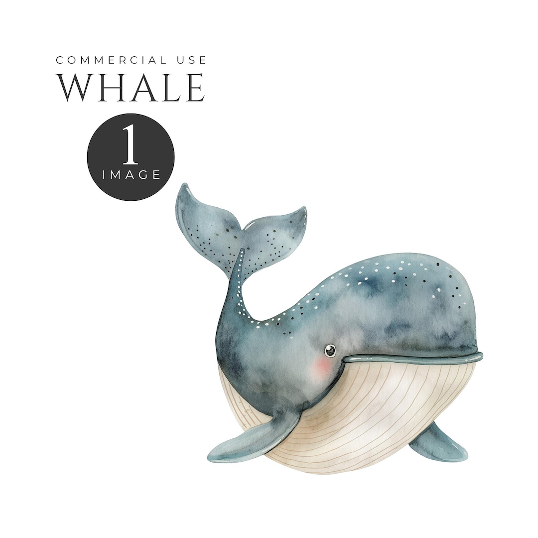 Watercolor Whale Single Clipart, Under the Sea, Marine Life, Ocean Sea ...