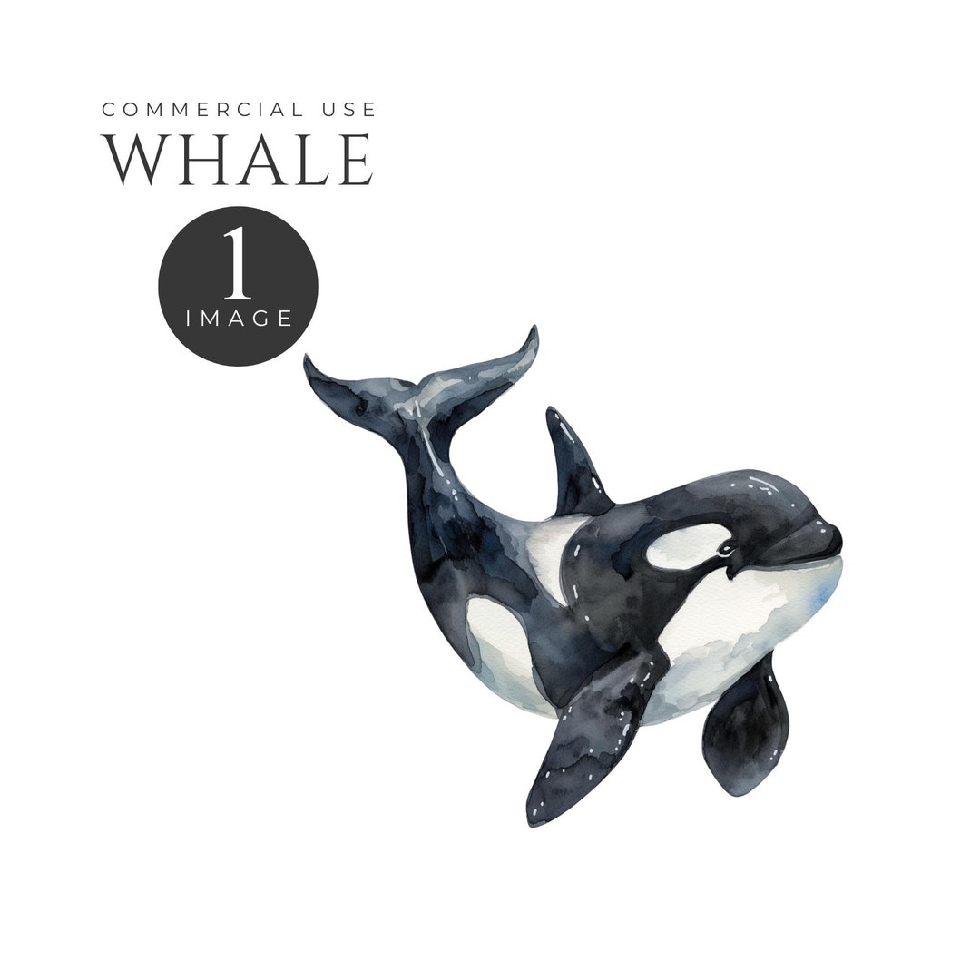 Watercolor Whale Single Clipart, Under the Sea, Marine Life, Ocean Sea ...