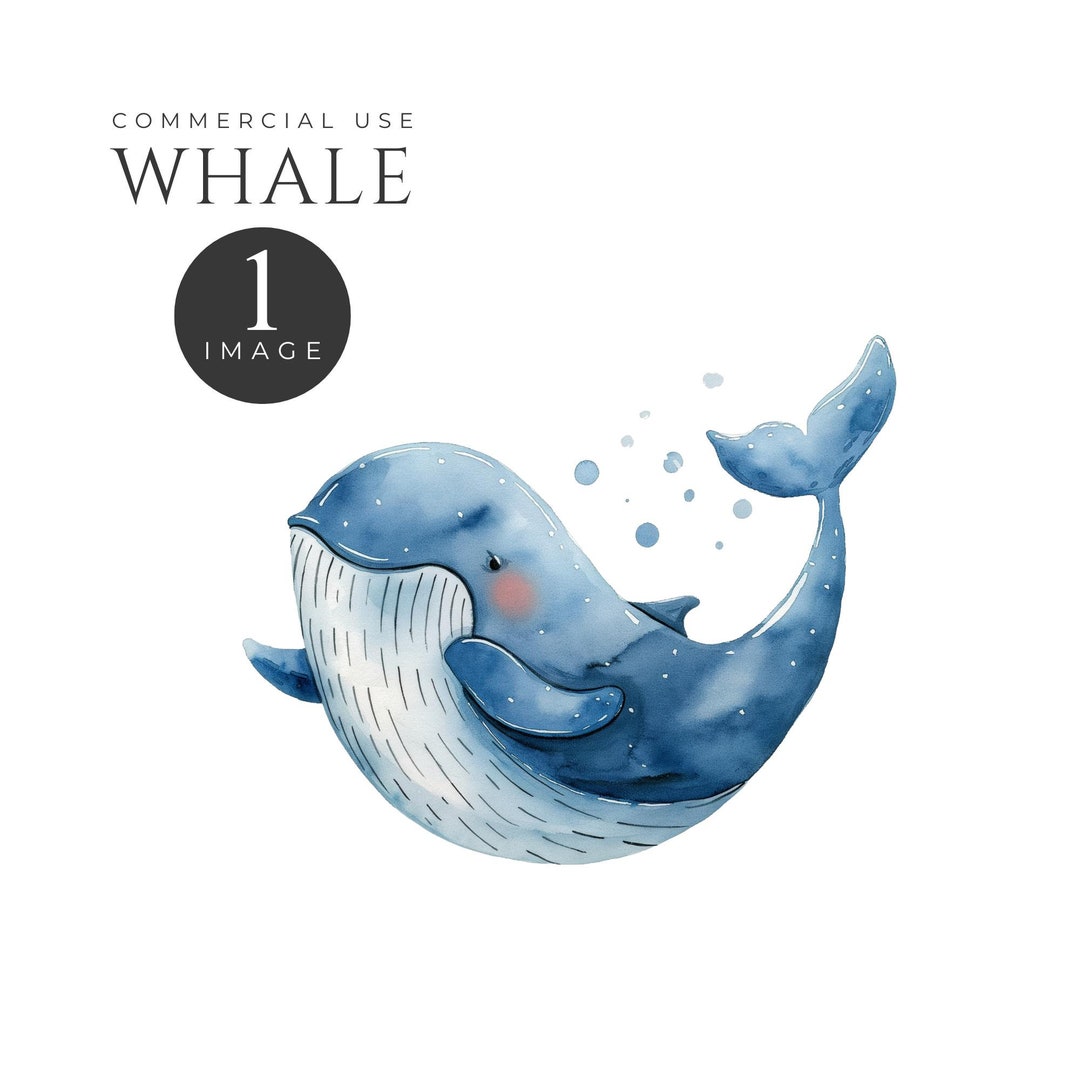 Watercolor Whale Single Clipart, Under the Sea, Marine Life, Ocean Sea ...