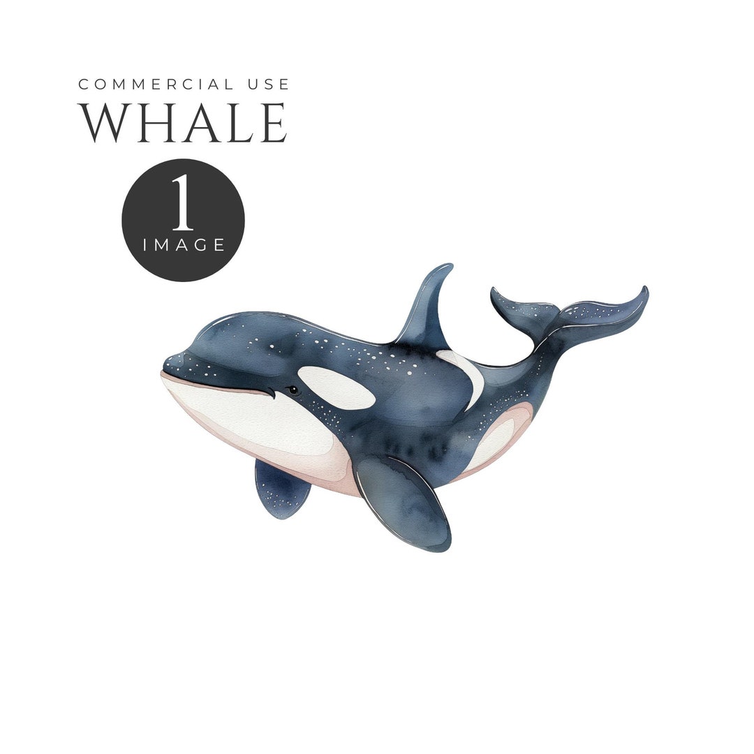 Watercolor Whale Single Clipart, Under the Sea, Marine Life, Ocean Sea ...