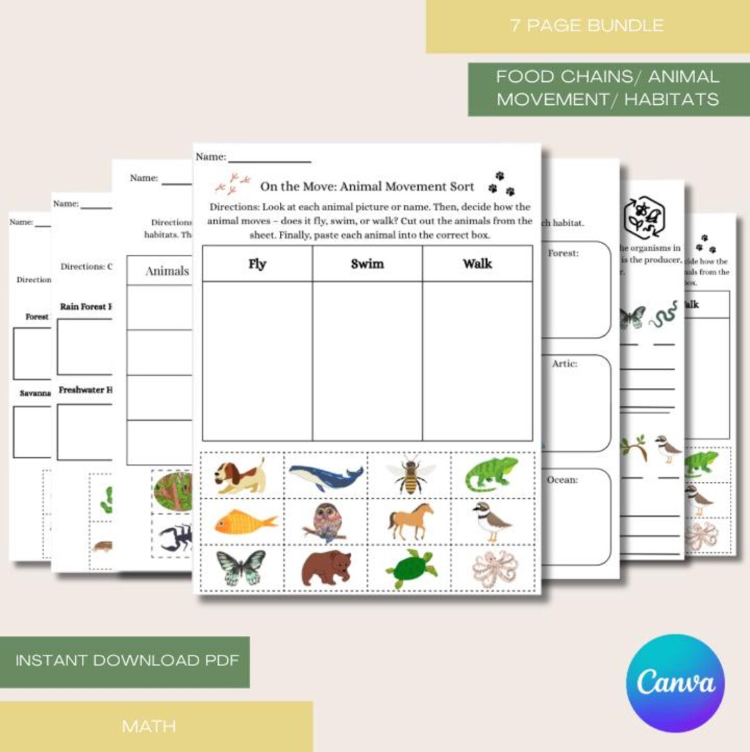 Food Chains & Animal Habitats Worksheets | 3rd Grade Science Activities ...