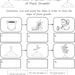 Plant Life Cycle: From Seed to Sprout | Plant Life Cycle Worksheet ...