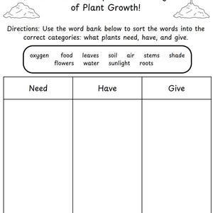 Plant Life Cycle: From Seed to Sprout | Plant Life Cycle Worksheet ...