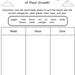 Plant Life Cycle: From Seed to Sprout | Plant Life Cycle Worksheet ...
