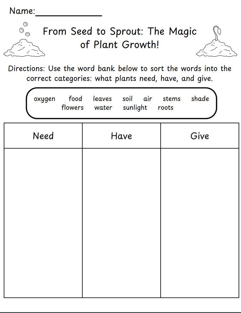 Plant Life Cycle: From Seed to Sprout | Plant Life Cycle Worksheet ...