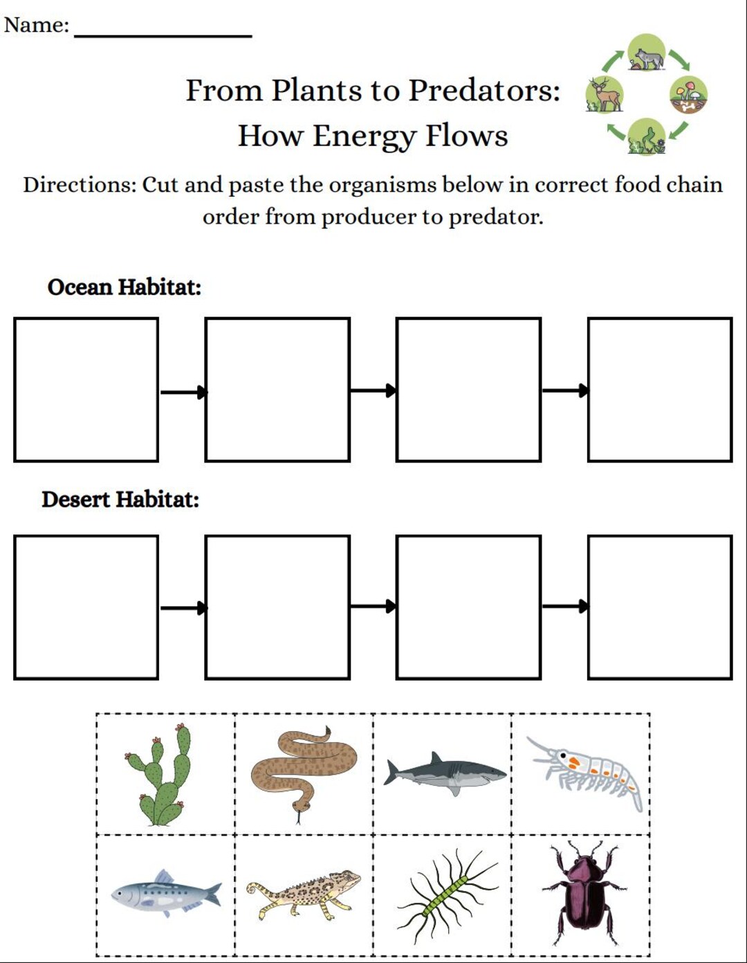 Food Chain Cut and Paste Worksheet | 6 Habitat Science Activities ...