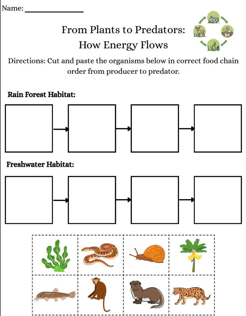 Food Chain Cut and Paste Worksheet | 6 Habitat Science Activities ...