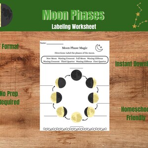 Phases of the Moon Worksheet | Printable Lunar Cycle Earth & Space ...
