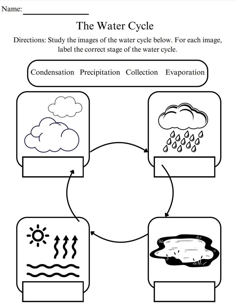 Weather Activity Worksheet Printable Bundle | Weather Vocabulary ...