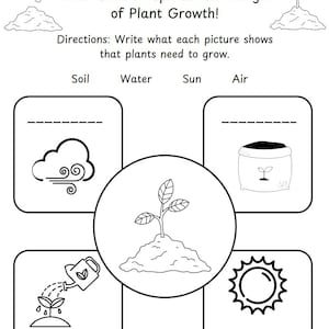 Plant Life Cycle: From Seed to Sprout | Plant Life Cycle Worksheet ...