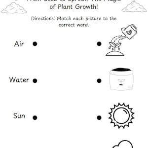 Plant Life Cycle: From Seed to Sprout | Plant Life Cycle Worksheet ...