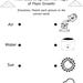 Plant Life Cycle: From Seed to Sprout | Plant Life Cycle Worksheet ...
