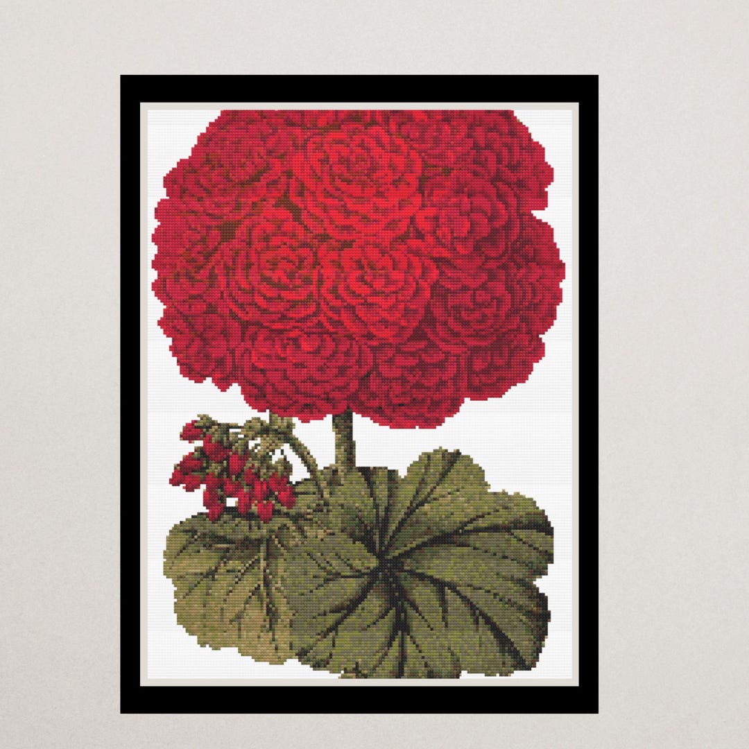 Red Geranium Cross Stitch Pattern | Vintage Botanical Embroidery Chart ...