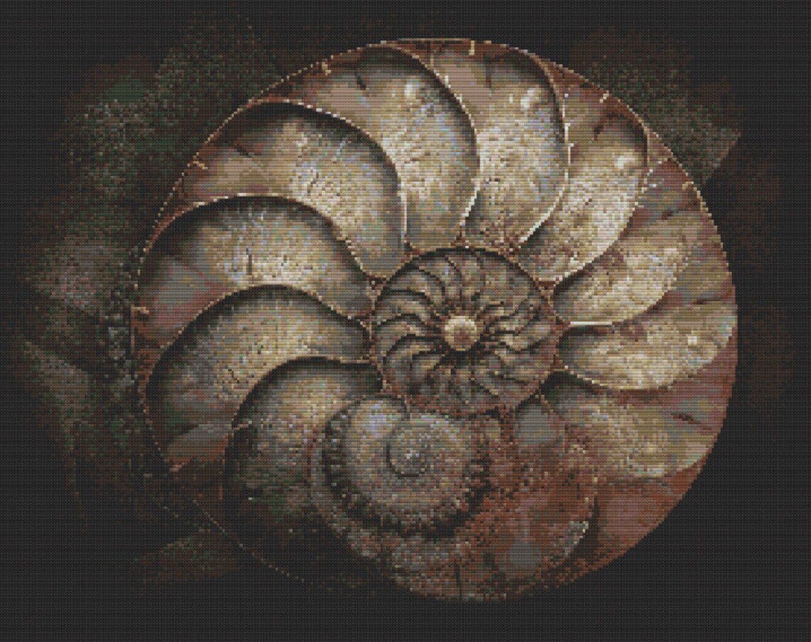 Ancient Ammonite Fossil Cross Stitch Pattern | Instant Download PDF ...