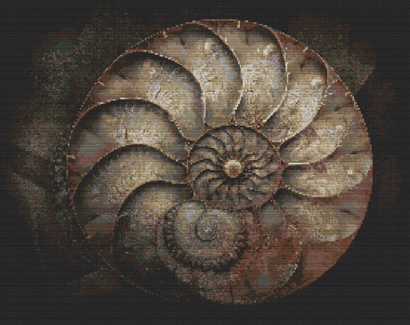 Ancient Ammonite Fossil Cross Stitch Pattern | Instant Download PDF ...