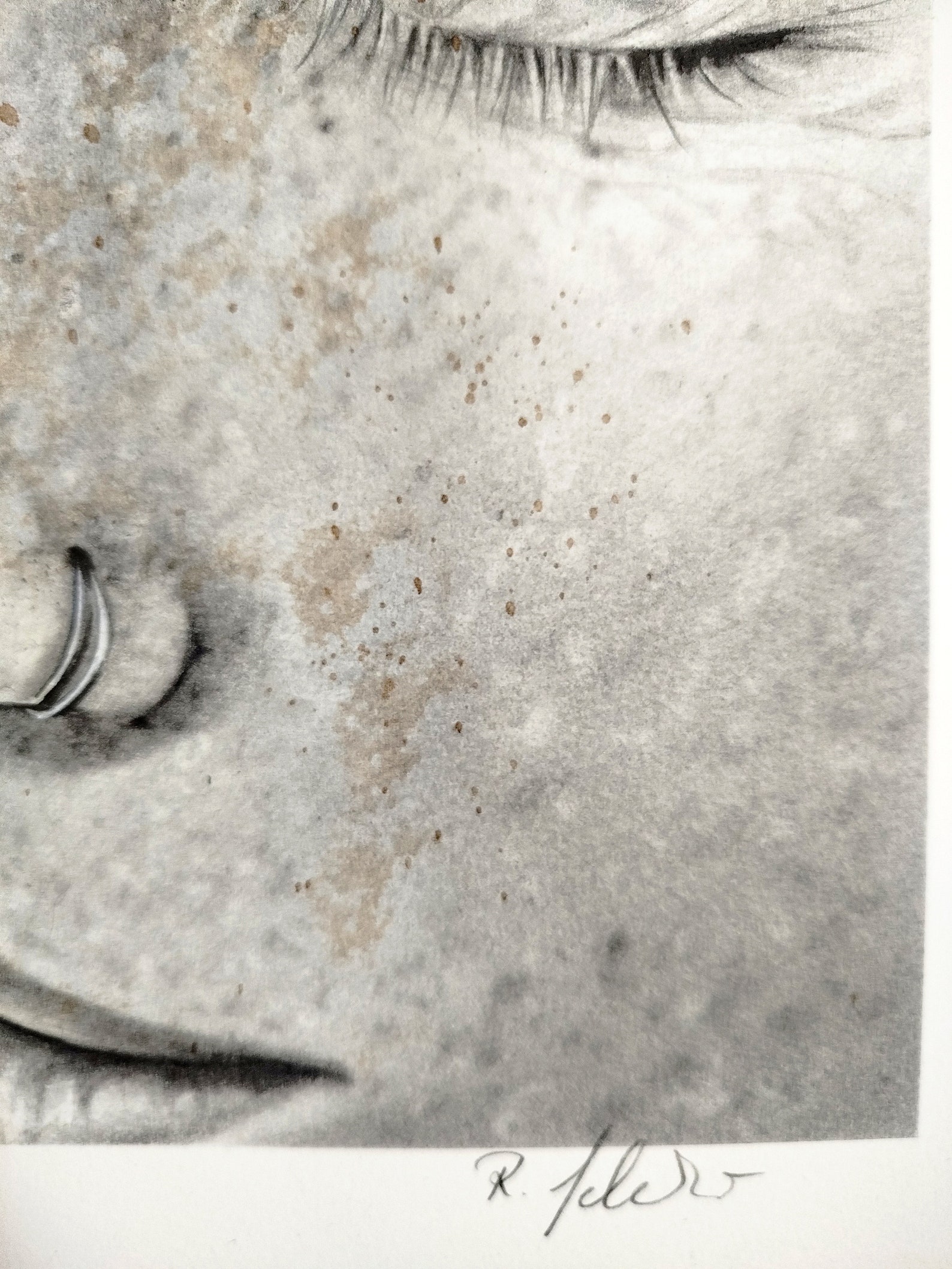 Graphite Drawing on Paper Tinted With Coffee and Watercolors, 30.5 X 40 ...