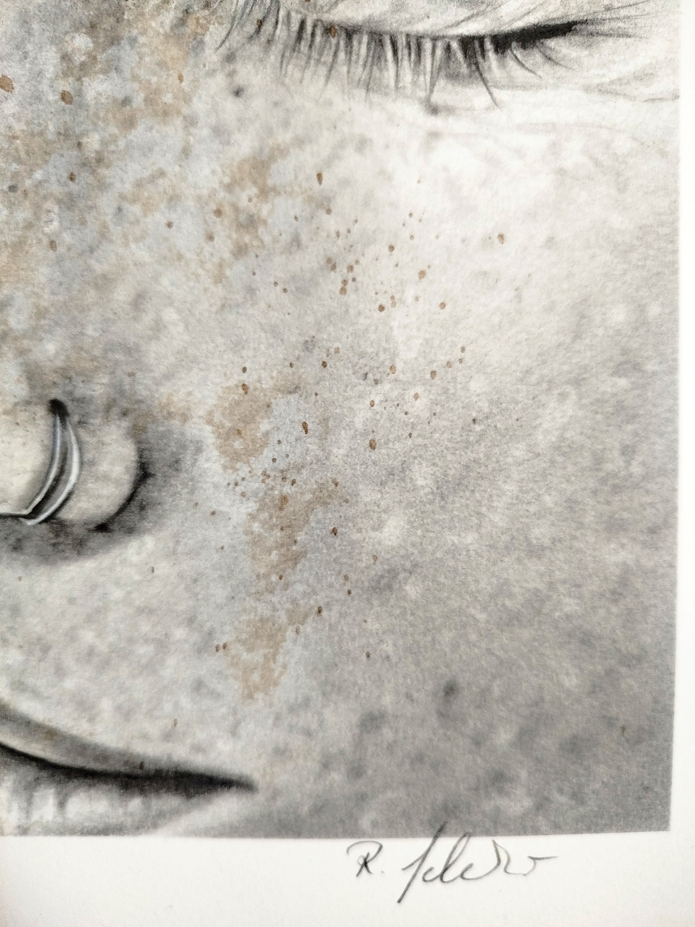 Graphite Drawing on Paper Tinted With Coffee and Watercolors, 30.5 X 40 ...