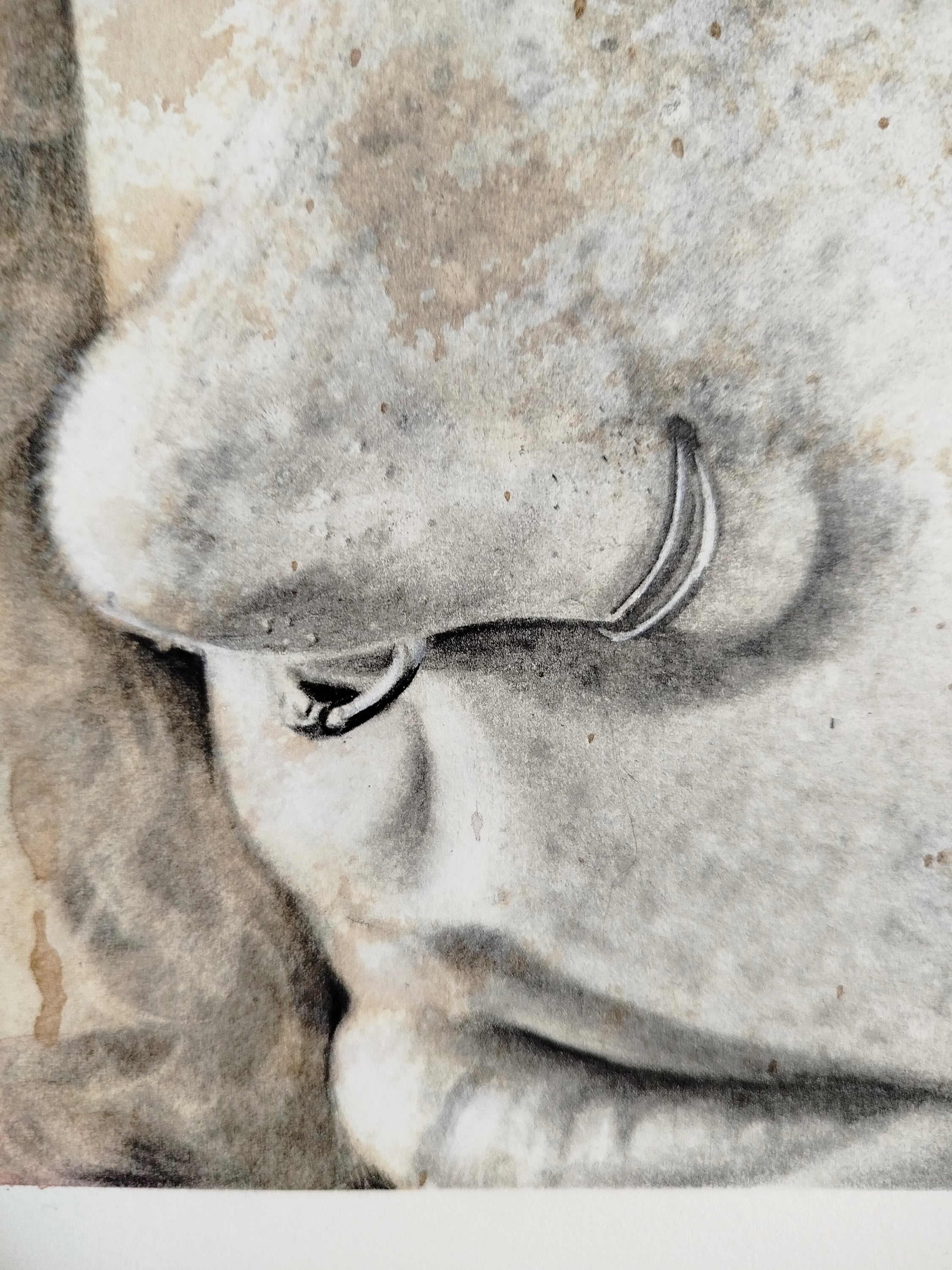 Graphite Drawing on Paper Tinted With Coffee and Watercolors, 30.5 X 40 ...