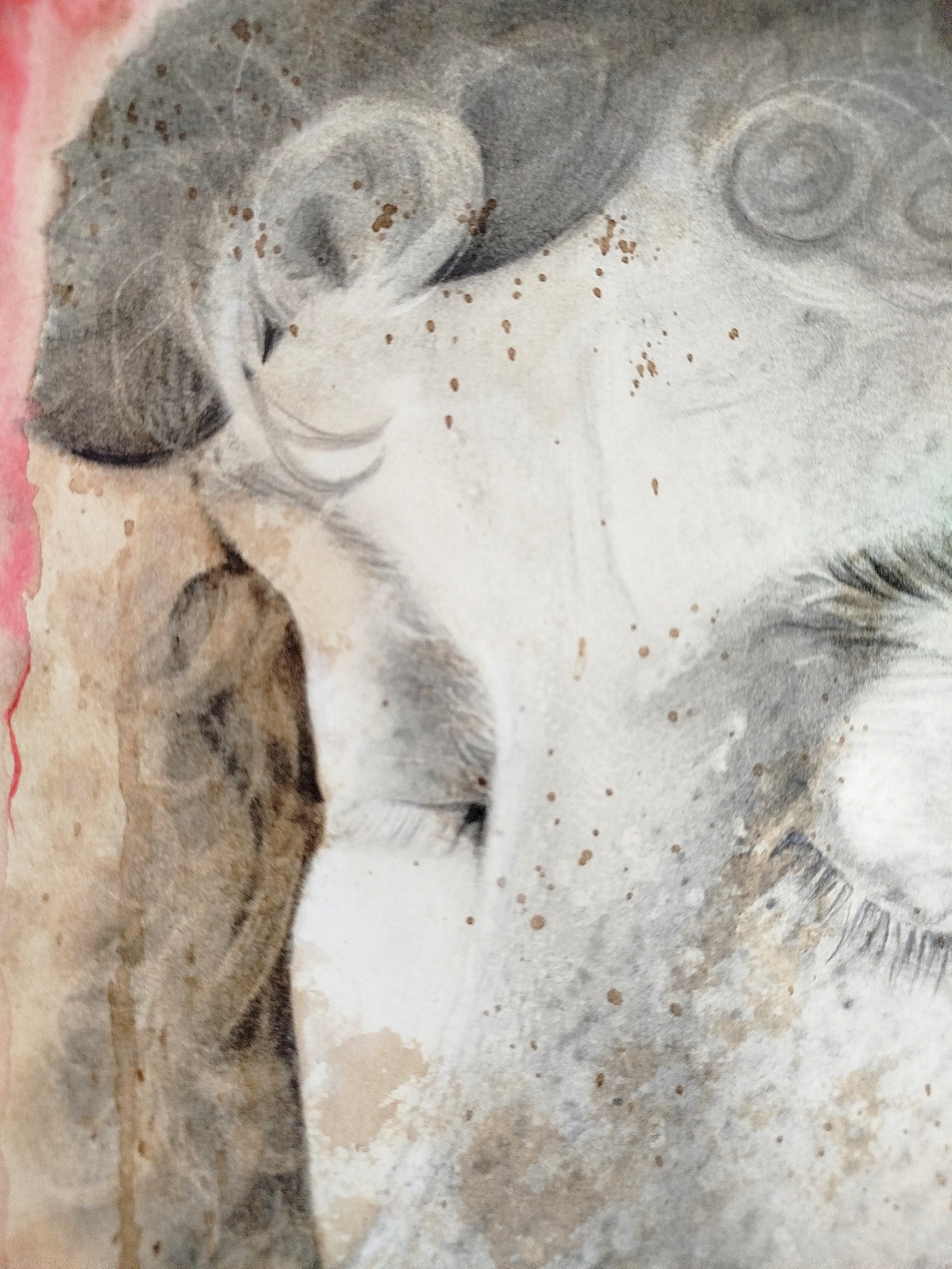 Graphite Drawing on Paper Tinted With Coffee and Watercolors, 30.5 X 40 ...