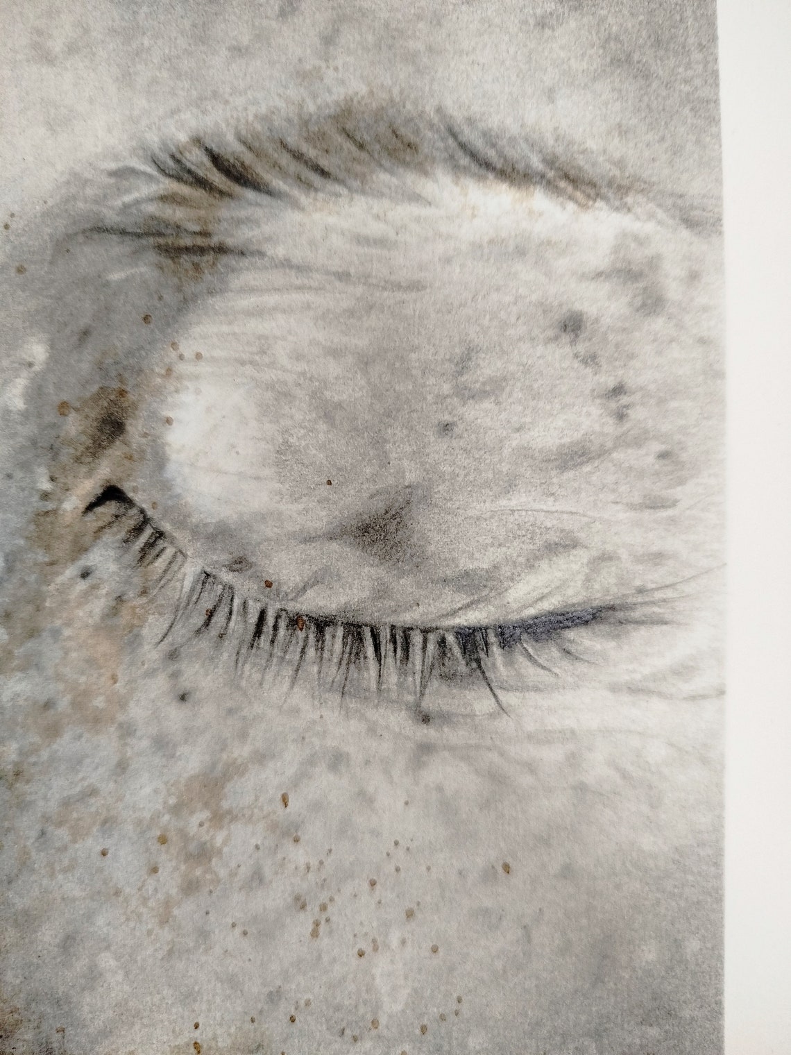 Graphite Drawing on Paper Tinted With Coffee and Watercolors, 30.5 X 40 ...