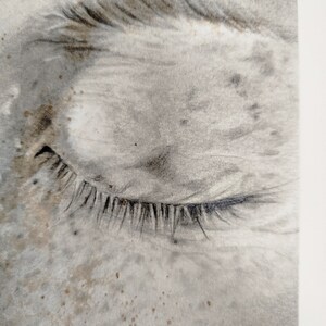 Graphite Drawing on Paper Tinted With Coffee and Watercolors, 30.5 X 40 ...