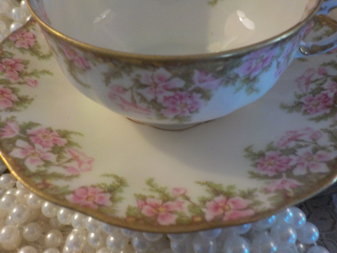 Limoges Elite Tea Cup Saucer Set of Four Pink Florals - Etsy