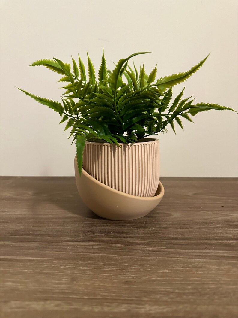 Modern Succulent Planter (custom Colors Available) - Etsy